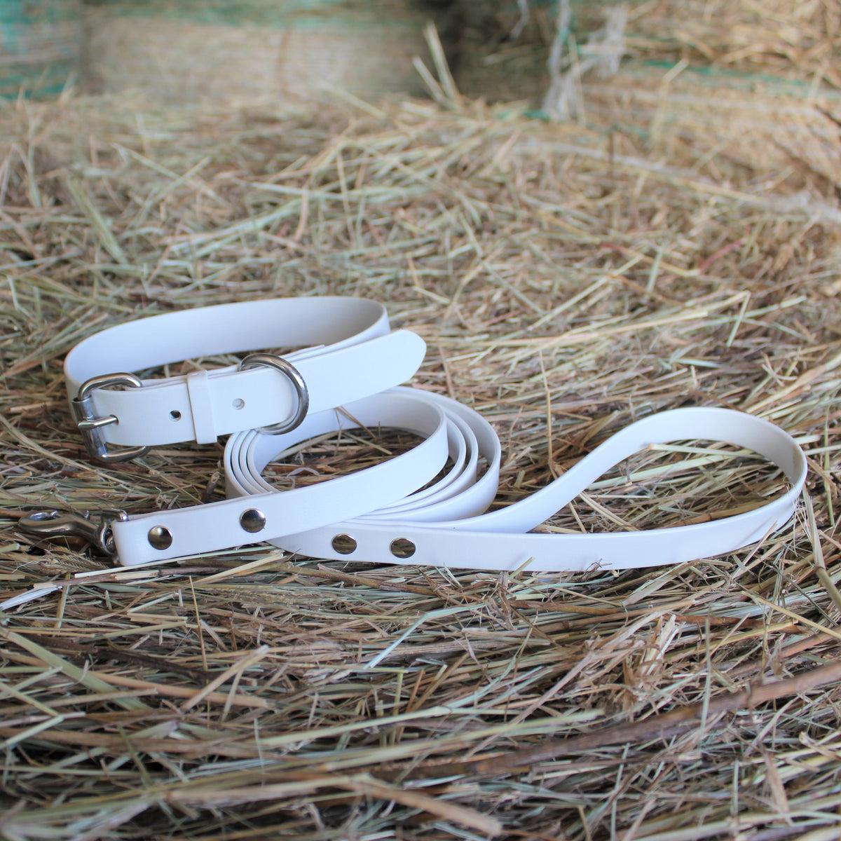 Wedding – Coopers Collars