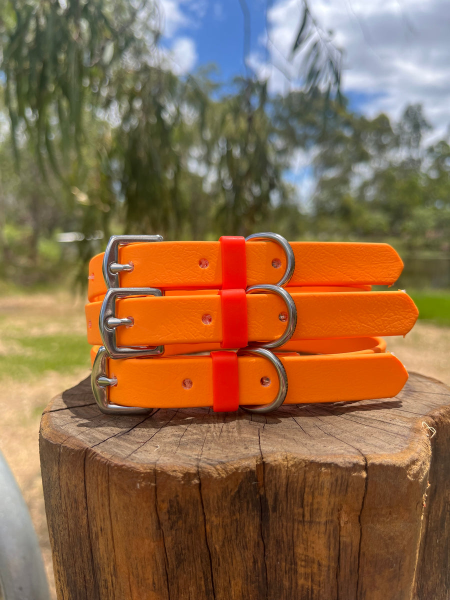 Pastel Orange Dog Collar – Coopers Collars