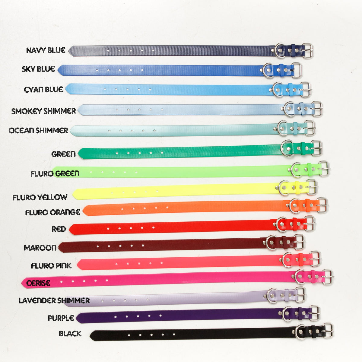 Collar and Name Tag – Coopers Collars