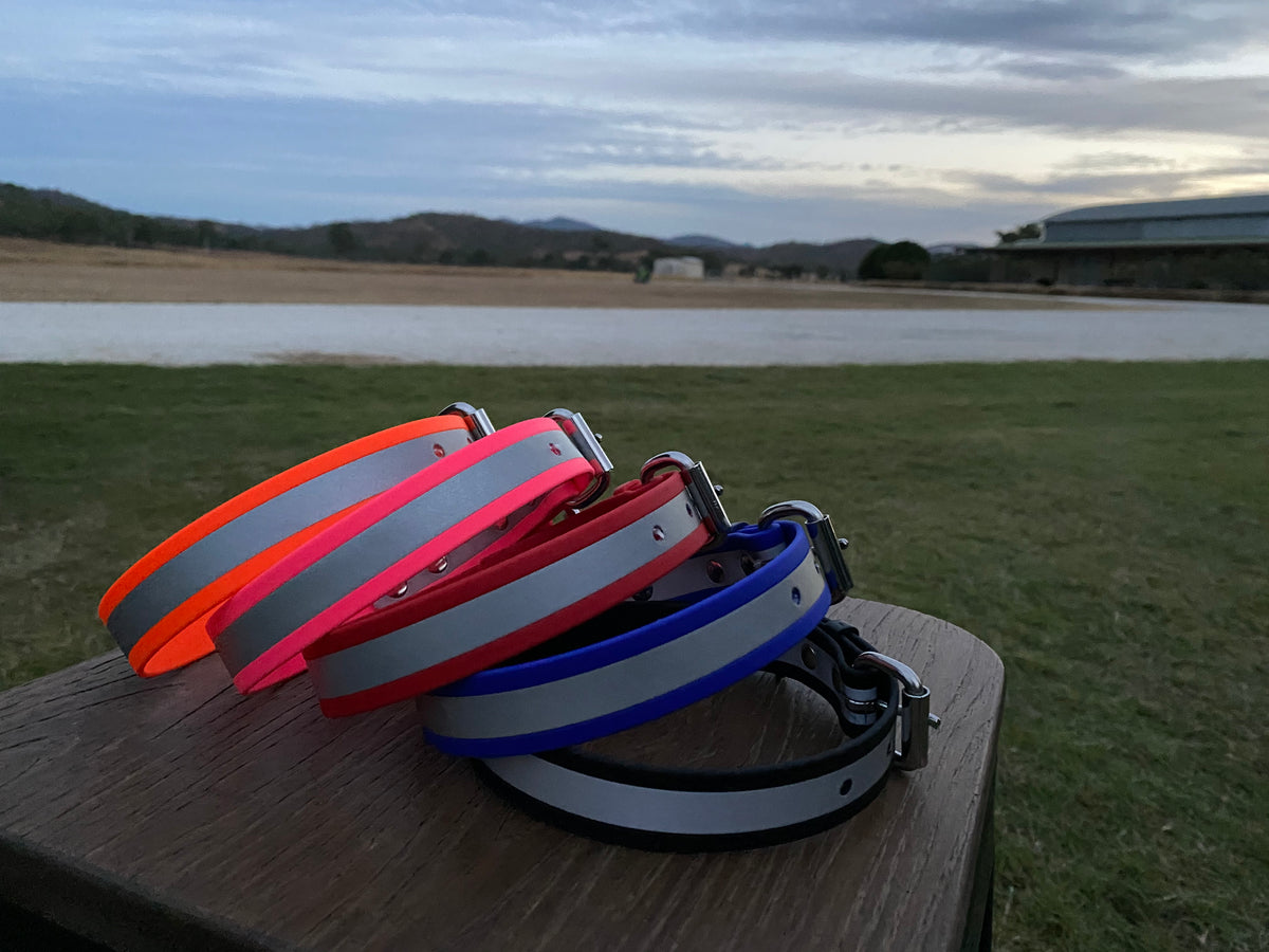 Reflective Safety Collar BLACK – Coopers Collars