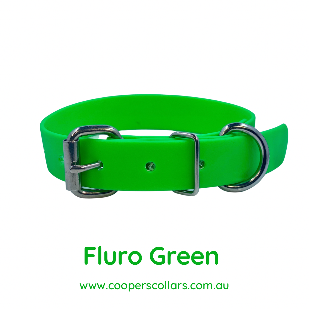 Fluro Green Dog Collar – Coopers Collars