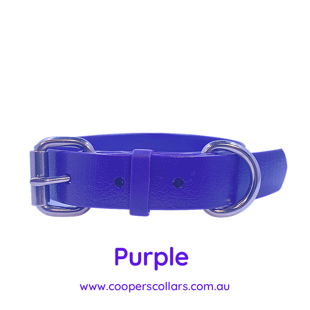 Purple Dog Collar – Coopers Collars