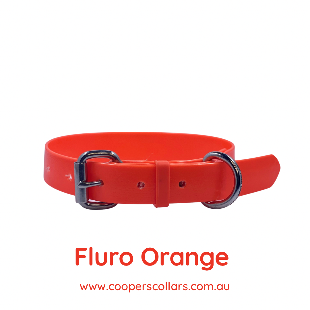 Fluro Orange Dog Collar – Coopers Collars