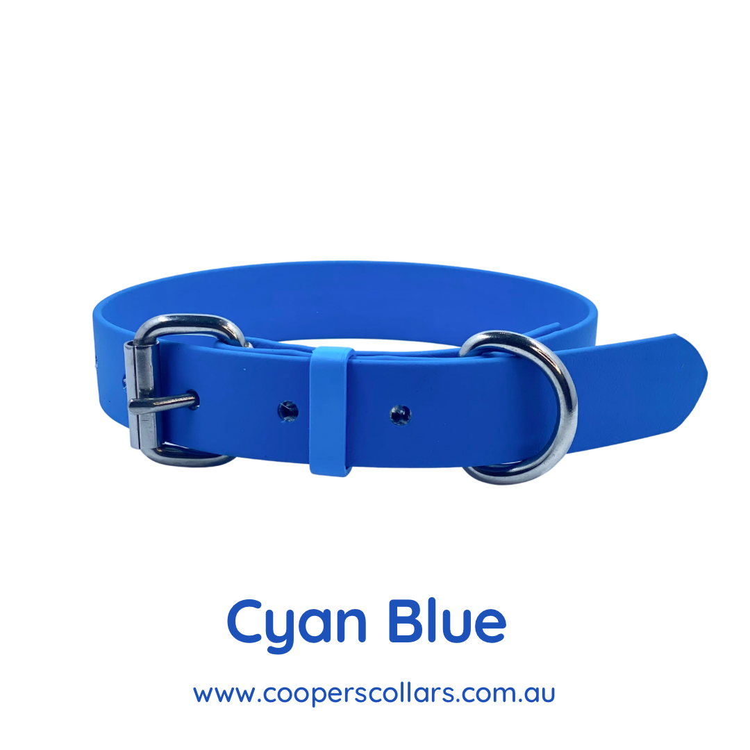 Cyan Blue (Light Blue) Dog Collar – Coopers Collars